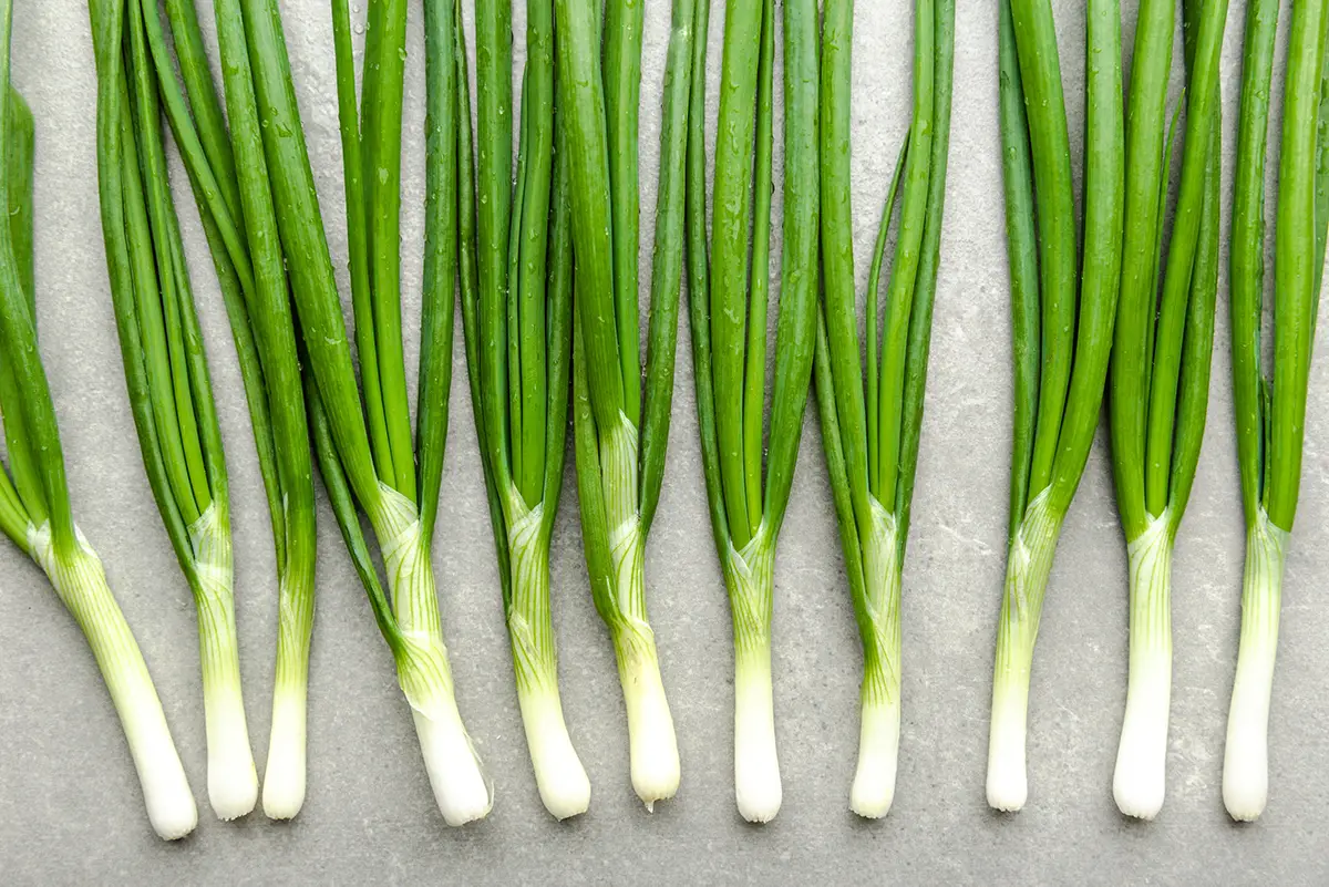 3 Simple Steps to Freeze Leeks (The Ultimate Guide) - Easy Freezing