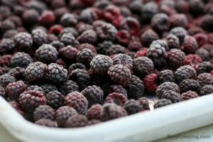 Freezing Raspberries (A Quick & Easy Guide) – Easy Freezing