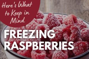 Freezing Raspberries (A Quick & Easy Guide) – Easy Freezing
